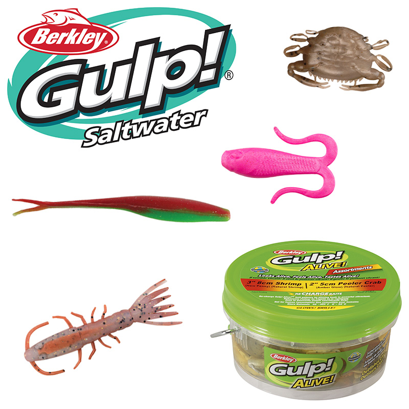 Gulp - Roy's Bait and Tackle Outfitters